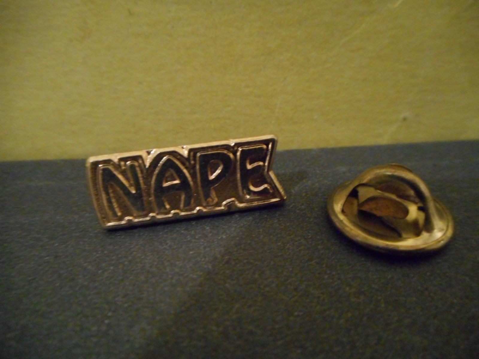 Newfoundland Association of Public Emplyees Union Lapel Pin,NAPE | eBay