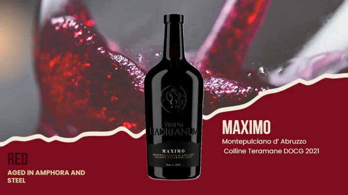 6 Bottle Italian MAXIMO 2021 Red Wine Montepulciano D'Abruzzo by Vinum ...