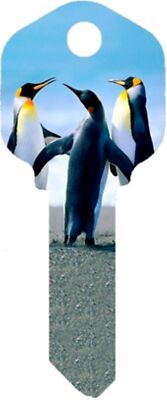 Penguins House Key Blank - Animals - Keys - Locks - KW1 | eBay Australia