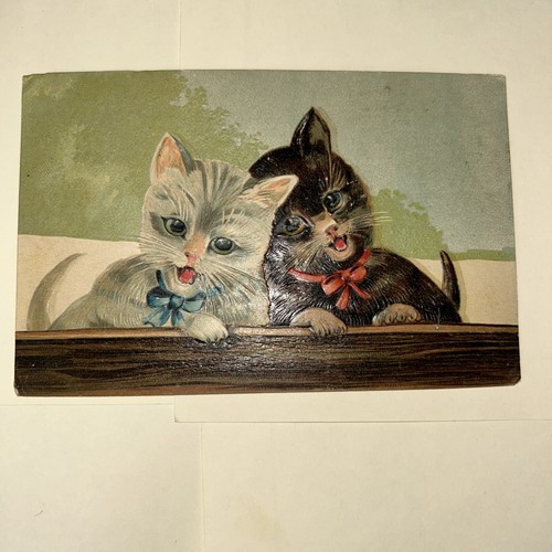 H169 postcard Cartoon humor 1908 Two Kittens cats | eBay