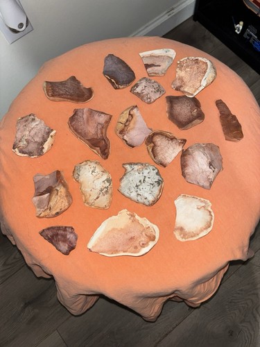 Lot of 18 Vintage Native American Flint River Tri-color Stone Chips ...