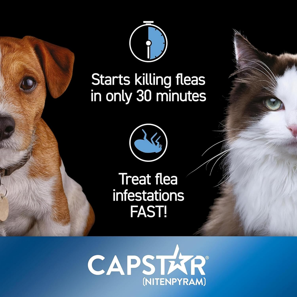 Capstar Flea Tablets for Dogs and Cats from 1Kg to 11Kg, Oral ...
