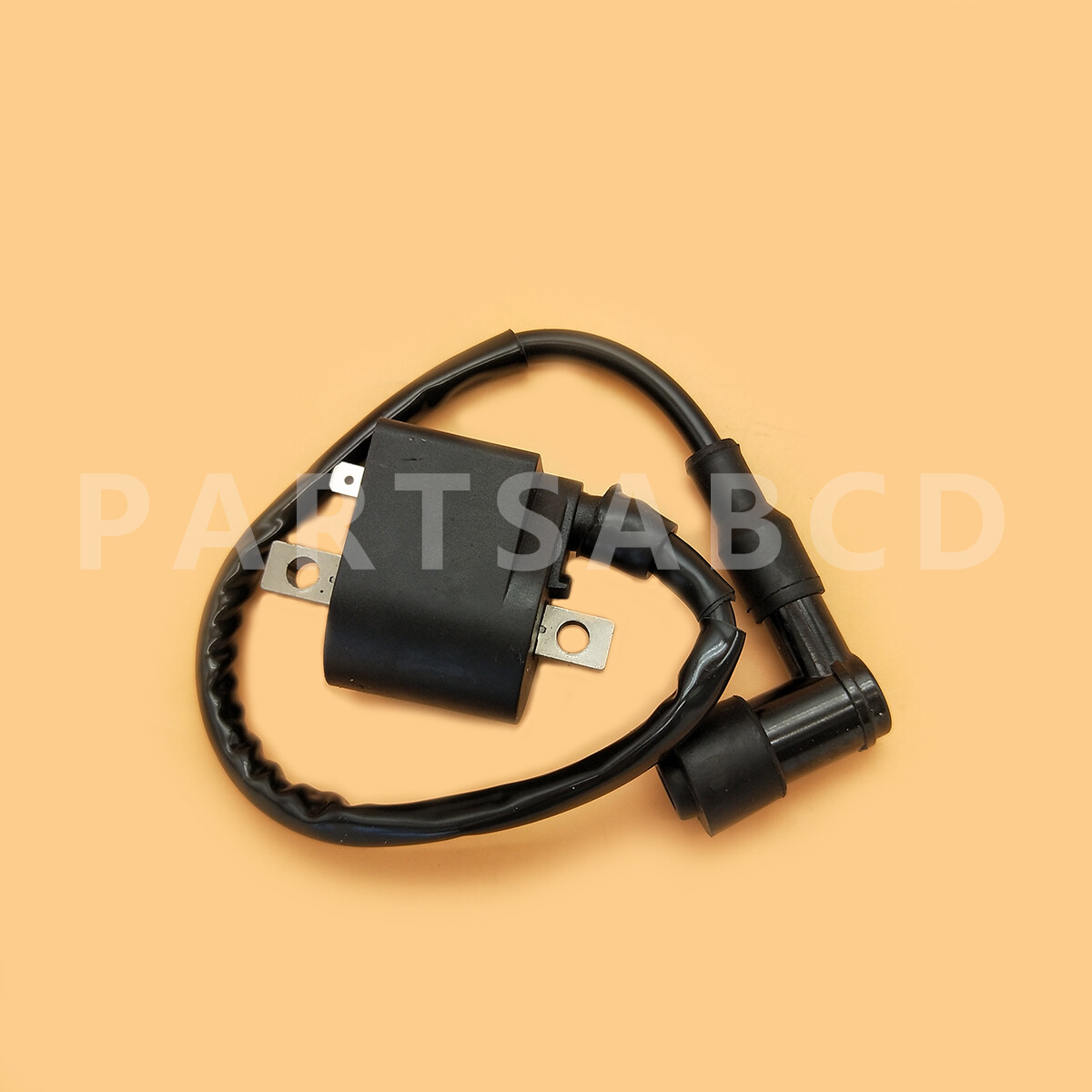 Partsabcd LT50 LT 50 QUADRUNNER 50 CDI Ignition Coil With CDI for ...