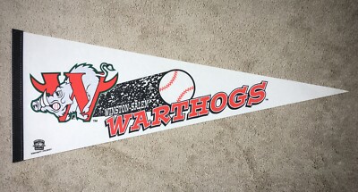 Carolina League Winston-Salem Warthogs Vintage 1995 Team Logo Baseball ...