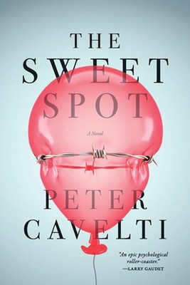 The Sweet Spot by Peter C. Cavelti Paperback Book | eBay Australia
