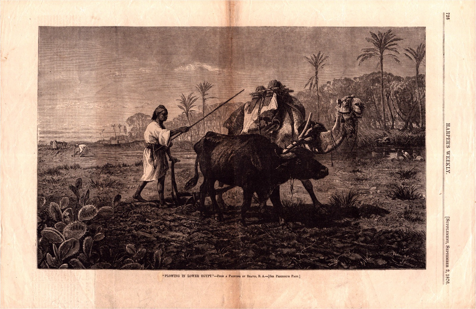 1876 Egypt Rural Farming Print — Oxen Plow, Camel, Palm Trees, Nile ...