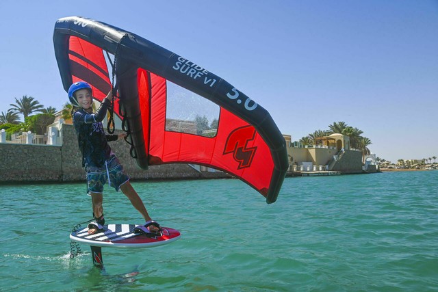 F2 WING SAIL GLIDE SURF BLACK GR. 6 0 QM SURF FOIL SEGEL WINGSEGEL ...