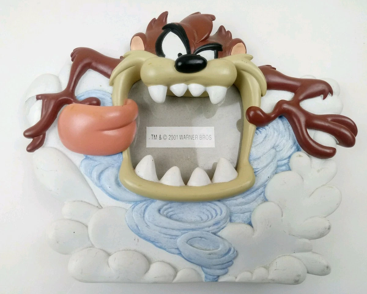 Tasmanian Devil Looney Tunes Tornado