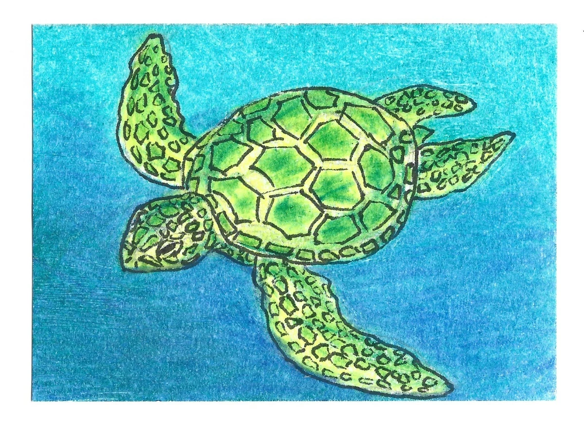 How To Draw A Hawaiian Turtle
