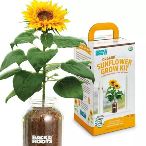 Back to the Roots Organic Sunflower Grow Kit | eBay