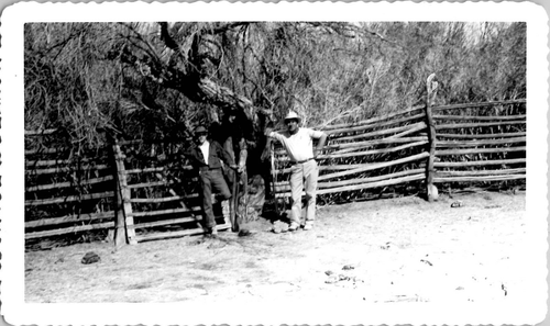 Masculine Tough Alpha Ranchers in Corral Western Americana 1930s ...