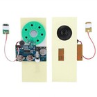 30s Greeting Card Recordable Voice Sound Module Chip With Speaker ...