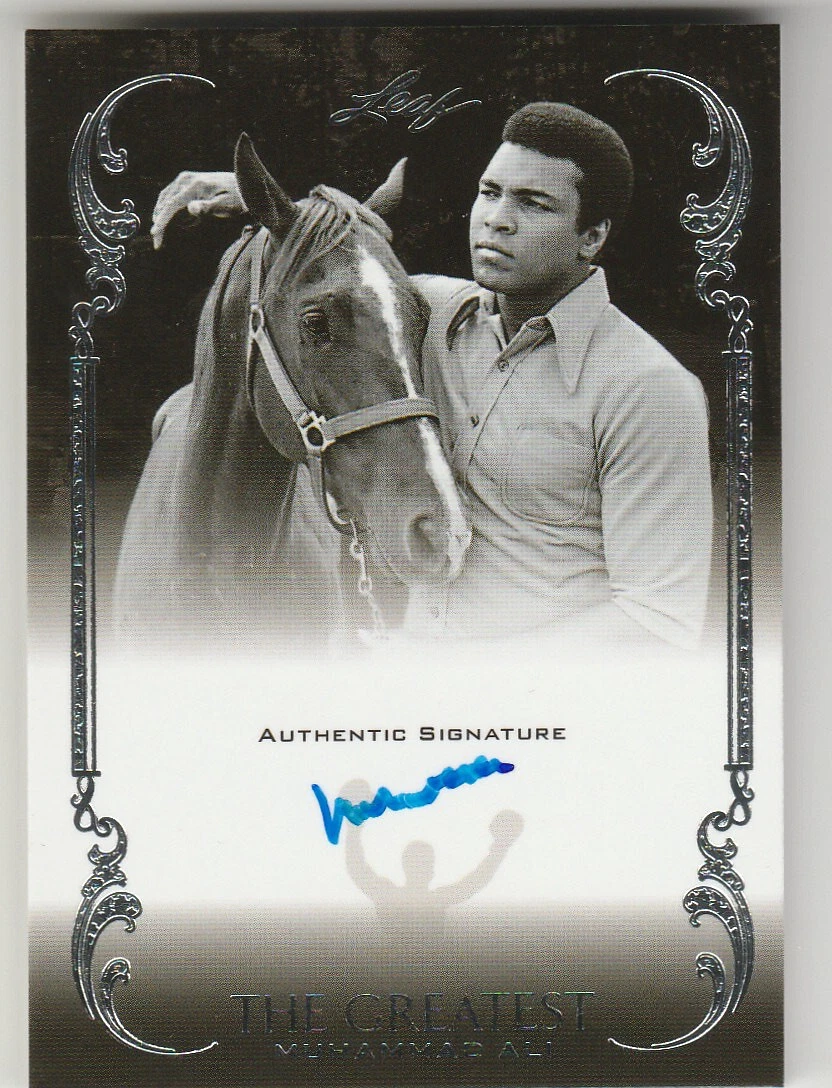 Muhammad Ali 2011