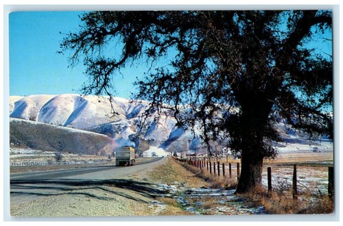 c1960 Ridge Route Highway Los Angeles Bakersfield Grapevine Mountain CA ...