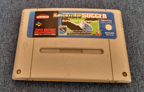 Super Nintendo SNES Game Sensible Soccer European Champions | eBay UK