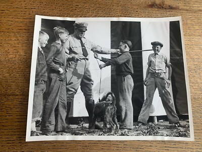 CIRCUS 8X10 VINTAGE PHOTO B&W ORIGINAL. Circus Security | eBay