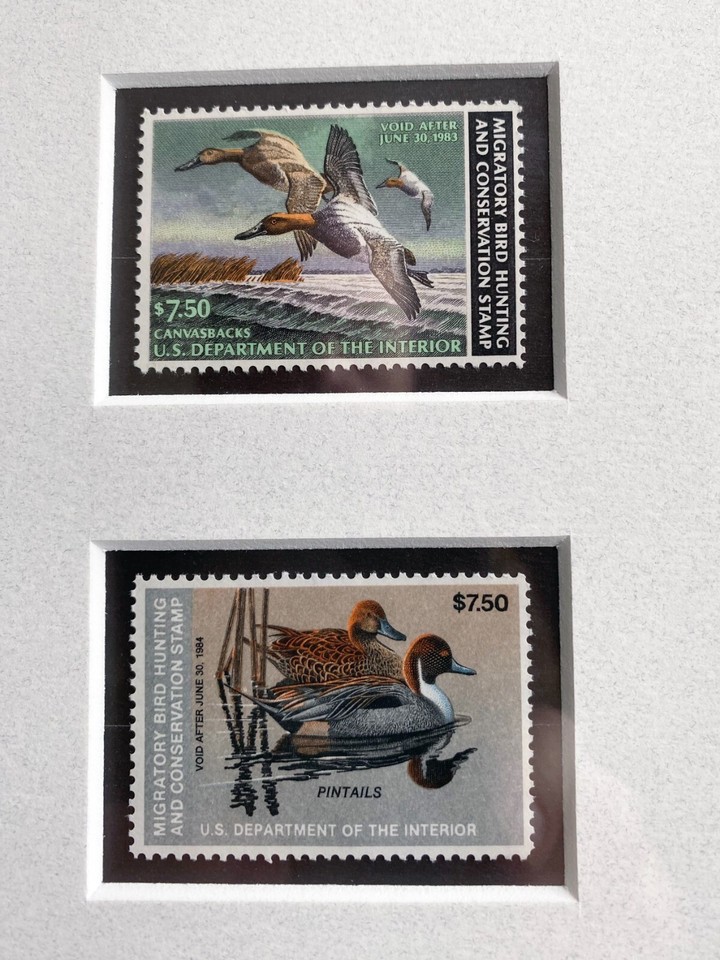 🔥 40 Federal Duck Stamps 1960-1999 Custom Framed by Decade w/ Brass ID ...