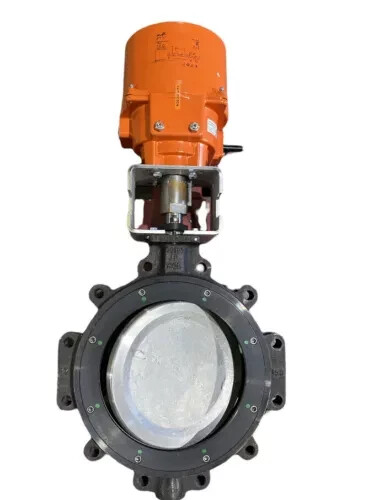BELIMO F6300-150SHP+SY4-110 12" 2-Way Butterfly Valve BFV Class 150 | eBay
