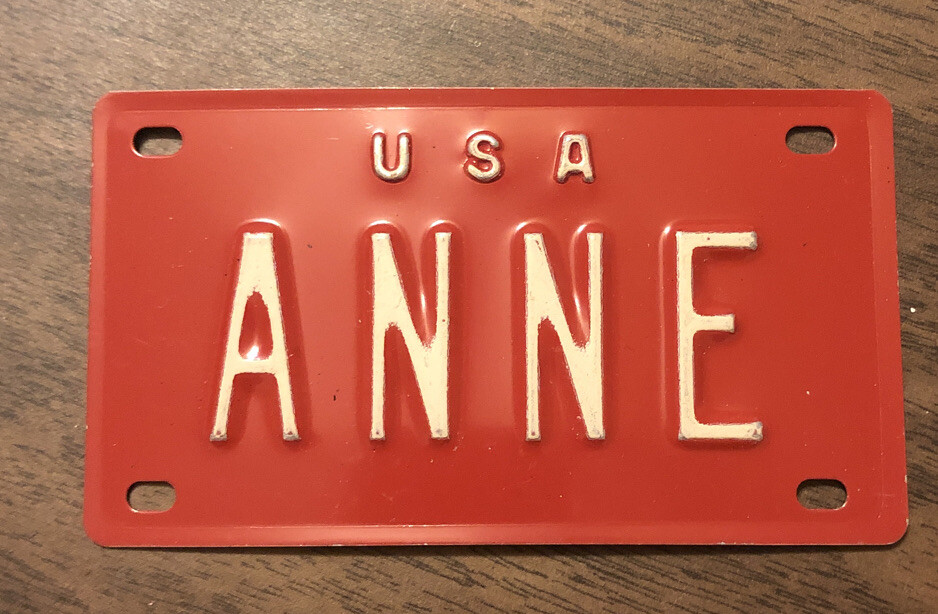 Mini Anne License Name Plate USA 2.25”x4” Bike Motorcycle Bicycle ...