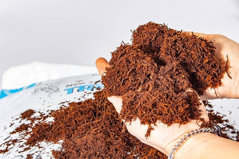 Fern Wood New Zealand Tree Fern Fiber Tropical Substrate - 10Liters 2 ...