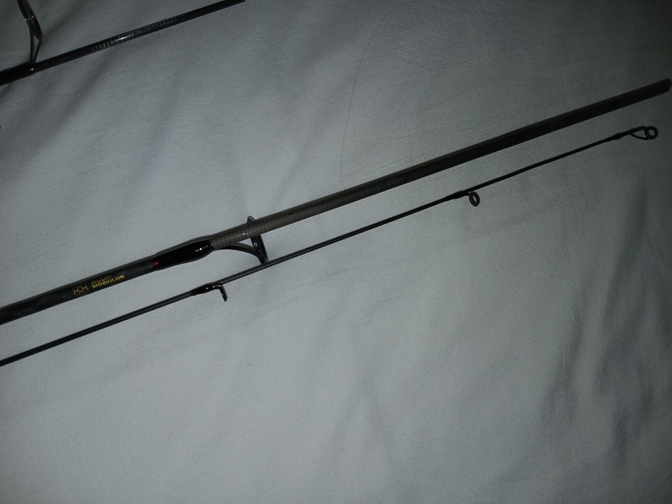 2 berkley lightning rod Ultralight Rods, 5ft & 6ft 6 High Modulus!! | eBay