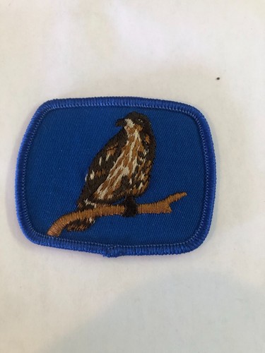 HAWK EMBROIDERED Boy Scout PATCH | eBay