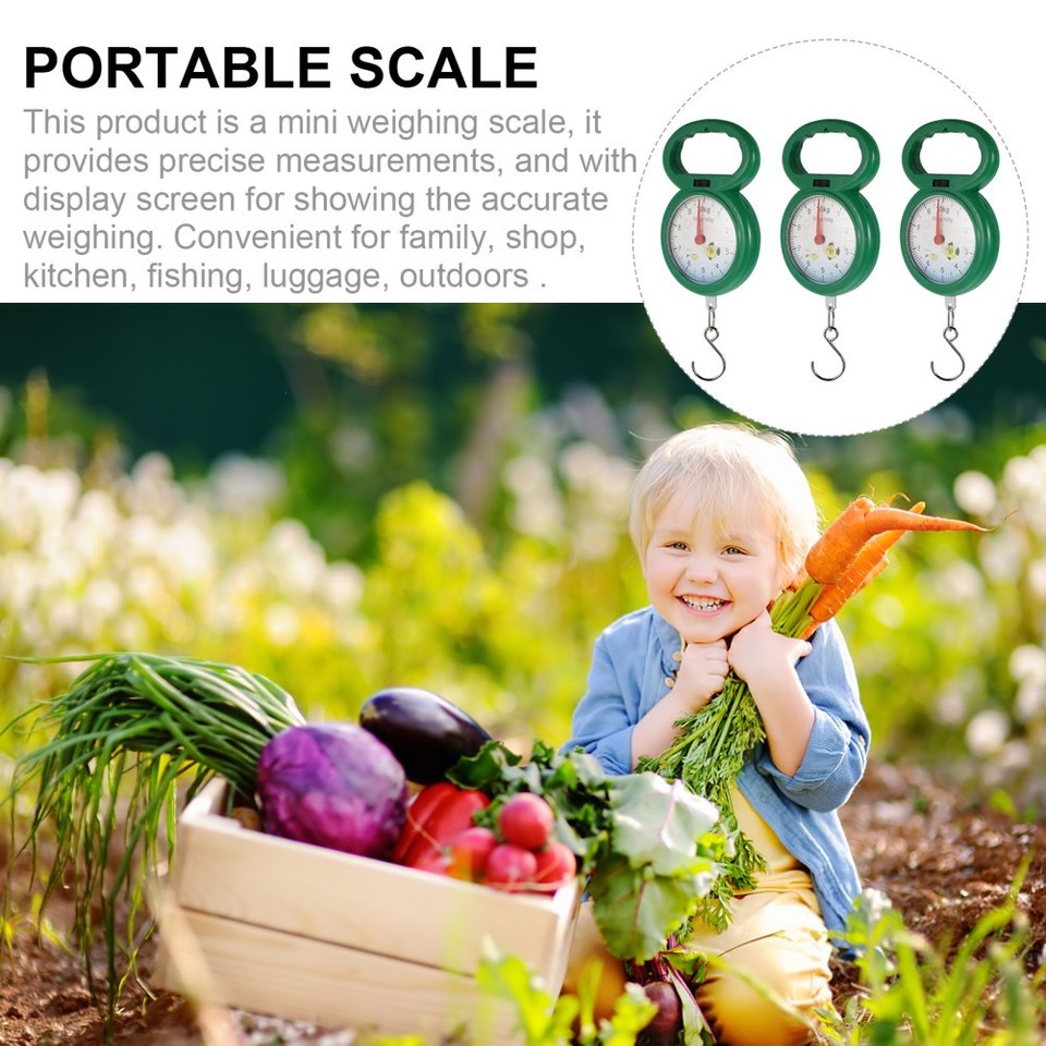 3pcs Spring Scales Vegetables Spring Scale Spring Hanging Scale Hook ...