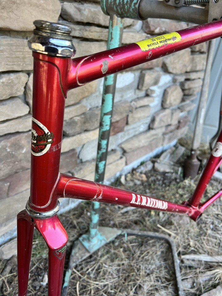 Vintage Rare REW Reynolds Frame Set 59cm Large Lugged Steel Woodrup ...