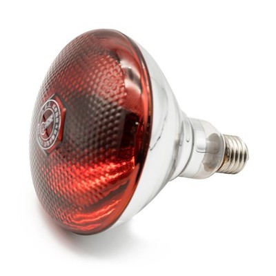 Infrared Bulb Red Hard Explosion-Proof Glass Infrared Heating Lamp for ...