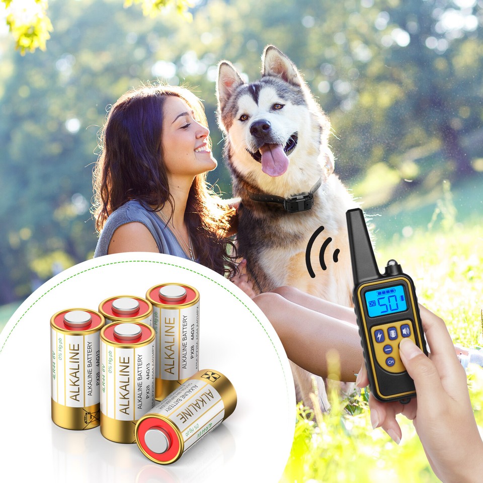 Lot 6V 4SR44 PX28A A544 4LR44 L1325 Alkaline Zinc Battery Dog Collar ...