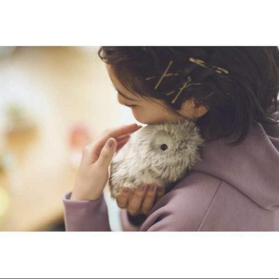 Casio AI Pet Moflin Communication Robot silver PE-M10SR New Japan F/S ...