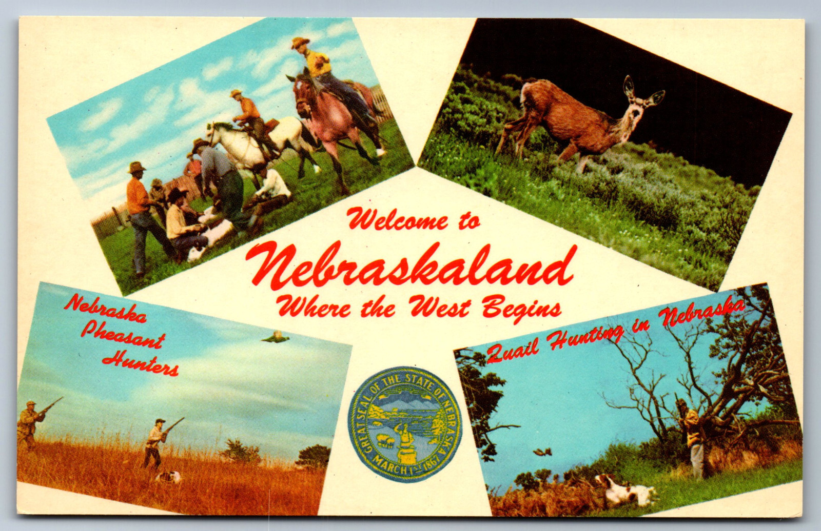 Postcard NE Pheasant Quail and Dear Hunters Welcome to Nebraska W8 | eBay