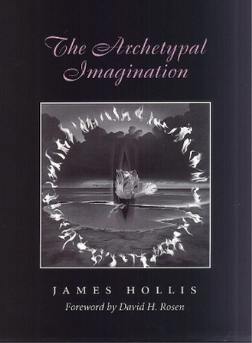 James Hollis The Archetypal Imagination (Poche) | eBay