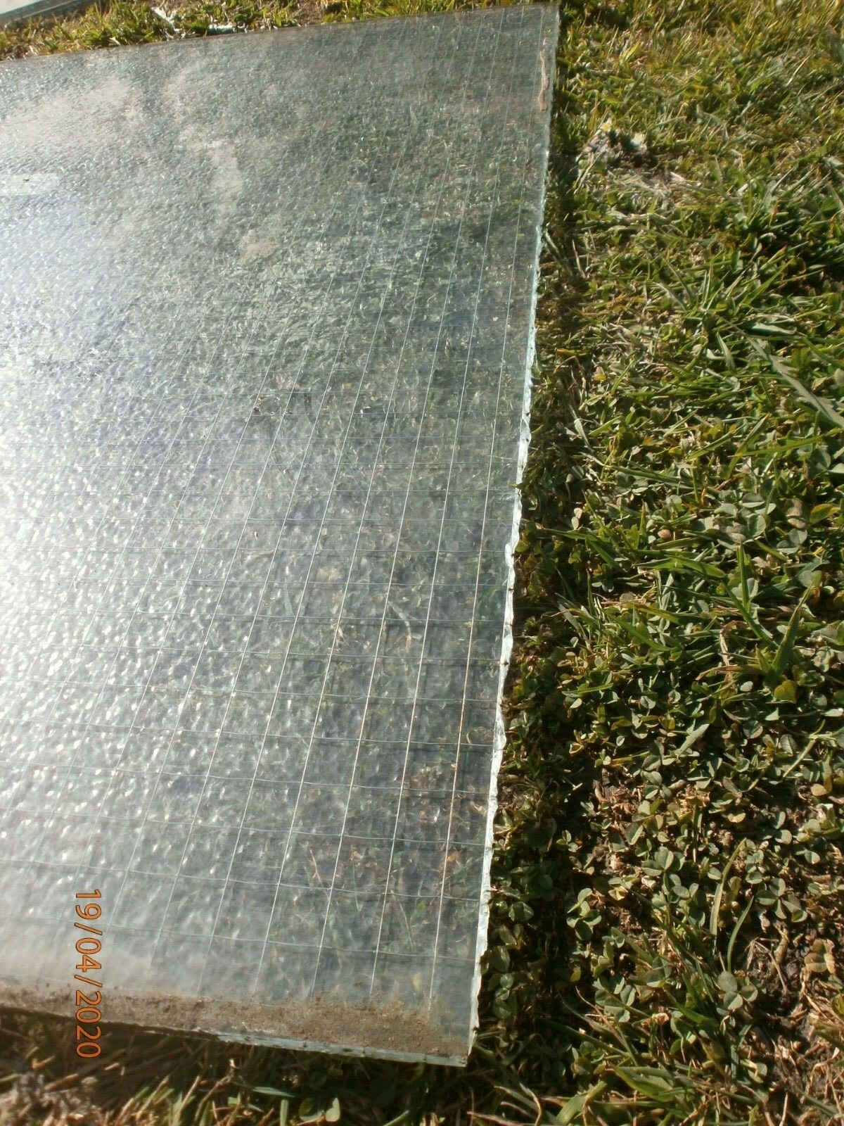 Large security wired mottled glass window pane 600 x 600 x 5mm Collect ...