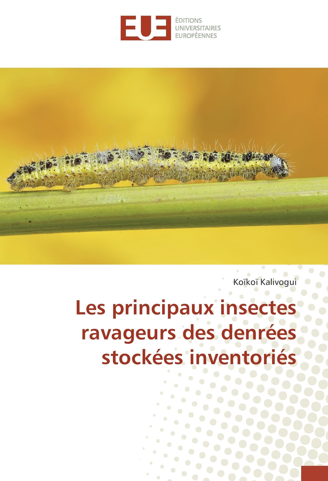 Les principaux insectes ravageurs des denrées stockées inventoriés von ...
