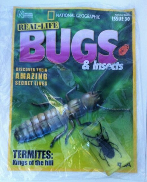 Natural History Museum National Geographic Bugs & Insects Magazine ...