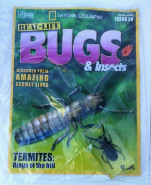 Natural History Museum National Geographic Bugs & Insects Magazine ...