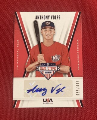 Anthony Volpe Auto /499 2019 Panini USA Baseball Stars & Stripes #17U ...