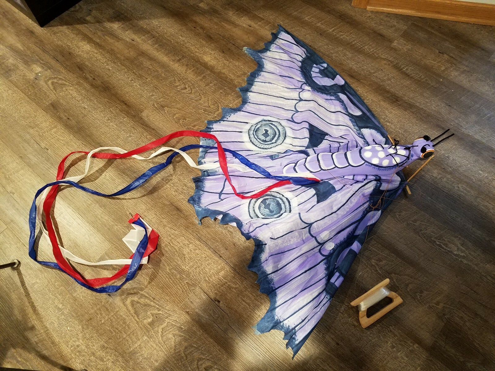 Huge Lot of 2 Dragonfly Kites Very Good Used Colorful Fun RARE Beach ...