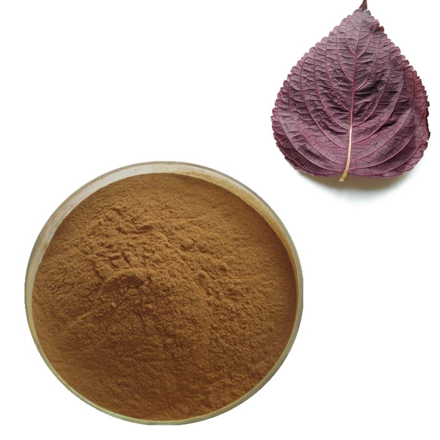 Perilla Frutescens Leaf Extract 10:1 Powder 25 grams AU seller | eBay