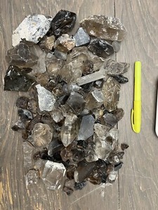 Bulldog Rocks | eBay Stores