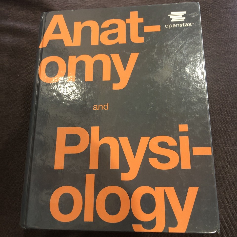 Anatomy and Physiology Textbook 978193816813 9781938168130| eBay