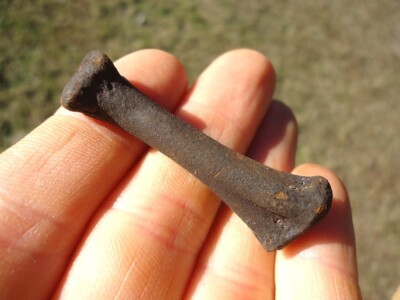 CHOICE ALLIGATOR METAPODIAL TOE BONE FLORIDA FOSSILS ICE AGE EXTINCT ...