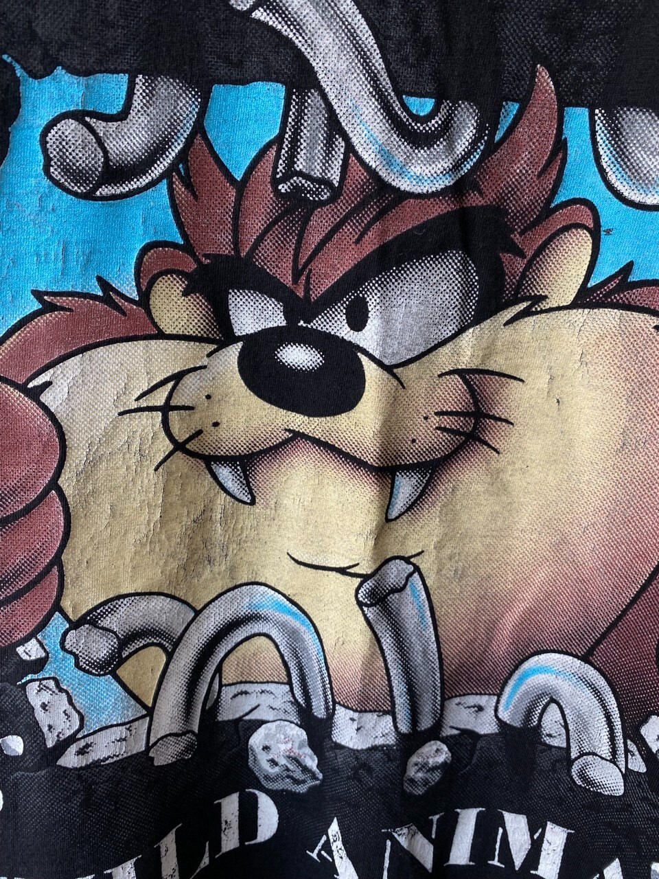 Vintage 1994 Taz Tasmanian devil Warner Bros beware w… - Gem