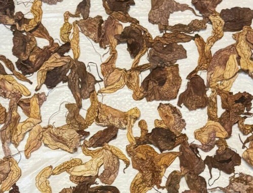 Duck Flower Capsules 6 Count (≈2 Whole Flowers) Pure Powder No Fillers ...