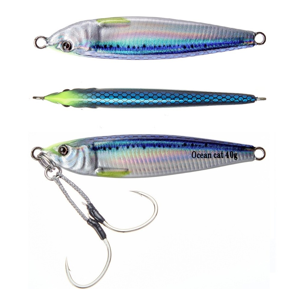 Slow Pitch Jig Saltwater Fishing Lure Flat Fall Jig Jigging Bait with 2 ...