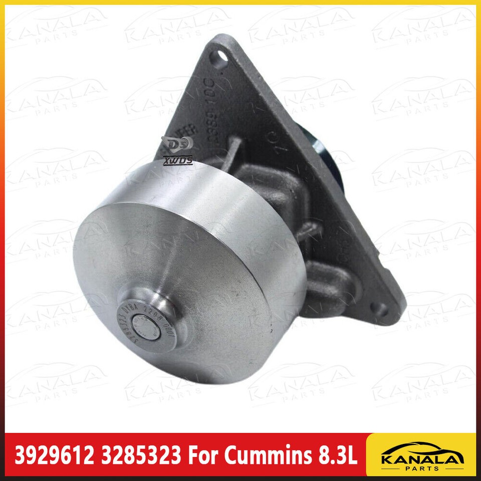 3800974 3923568 3929612 3285323 Water Pump For Cummins 8.3L | eBay