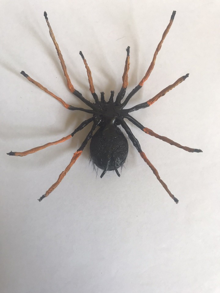 Handmade Hand-painted 5" Mexican Red-leg Tarantula Figurine Replica ...