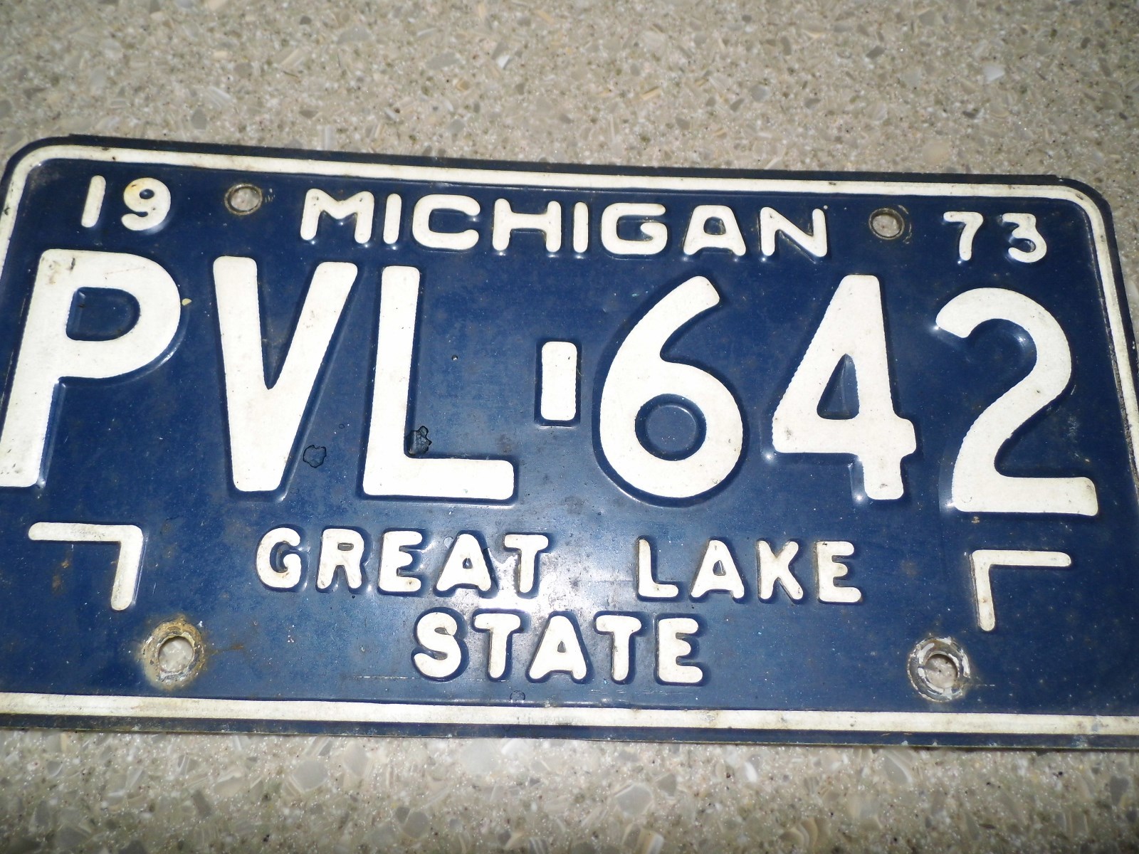 Vintage 1973 Michigan License plate PVL-642 | eBay