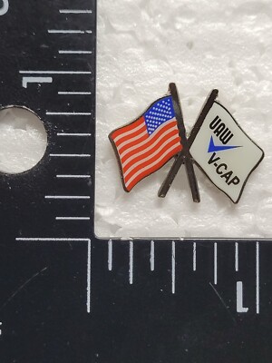 UAW FLAG V-CAP SILVER TONE HAT LAPEL PIN PIN BACK USED (K1140) | eBay